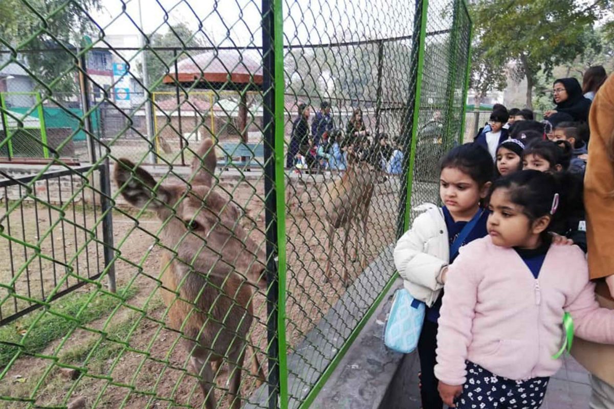 The Best School in Lahore - Nordic International School